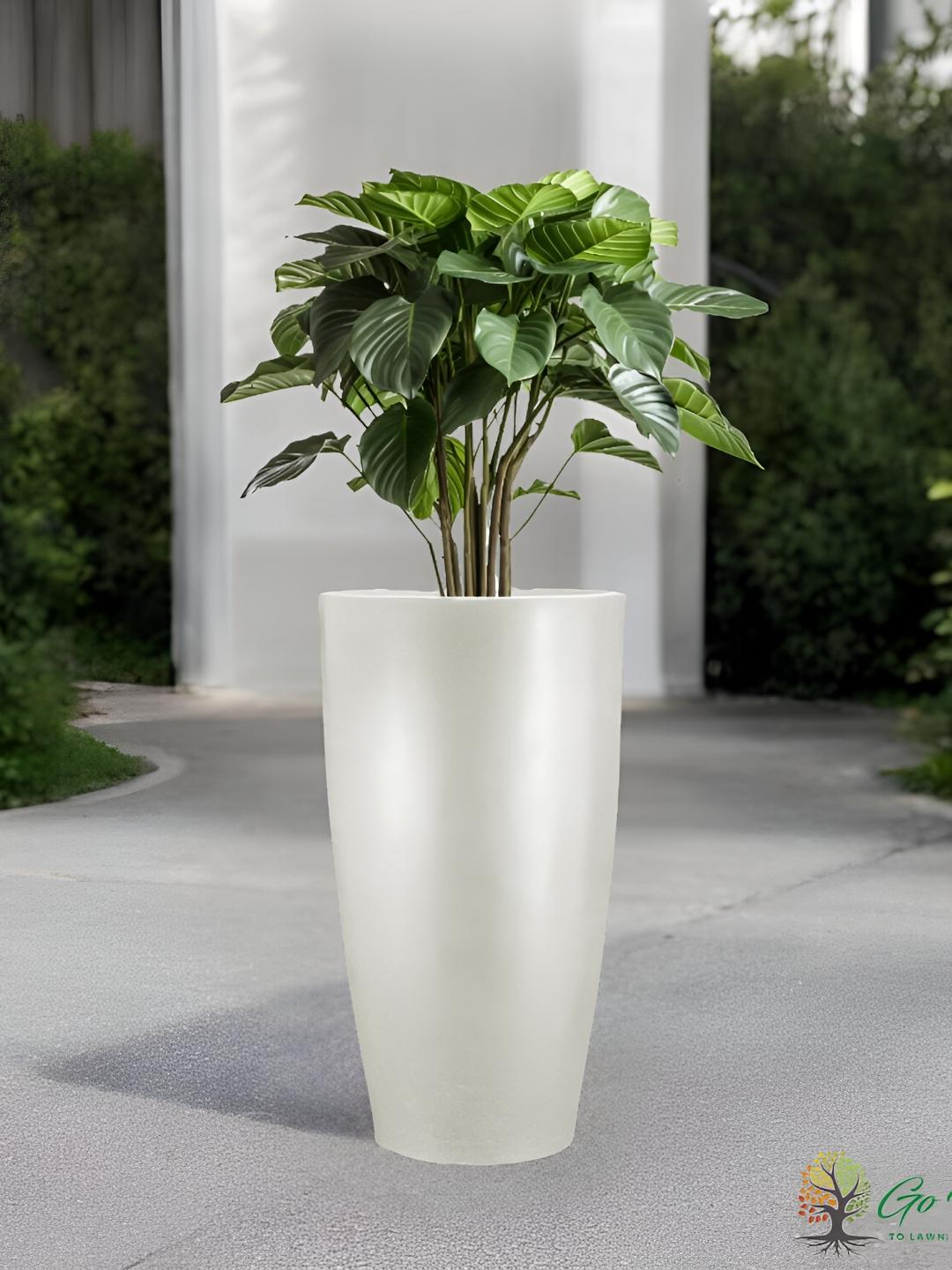 Buy Go Hooked Decorative Planter & Indoor Outdoor Flower Pot Qutub 33 ...