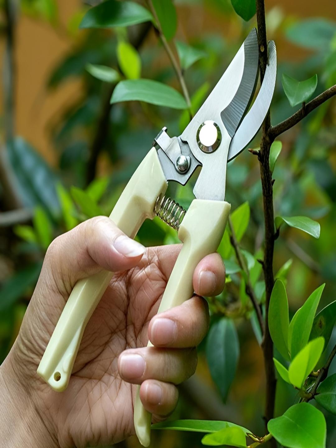 Buy DeoDap Cream Coloured Plant Cutter - Garden Accessories for Unisex ...