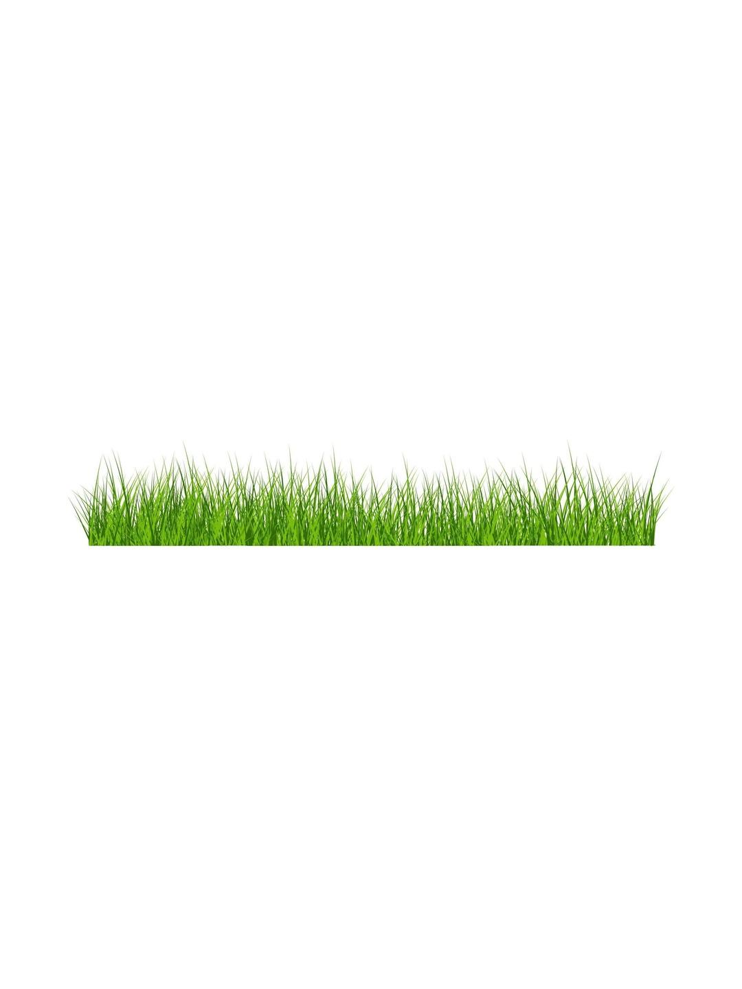Buy Sai Designs Green Grass Printed Wall Stickers - Decals And Stickers ...