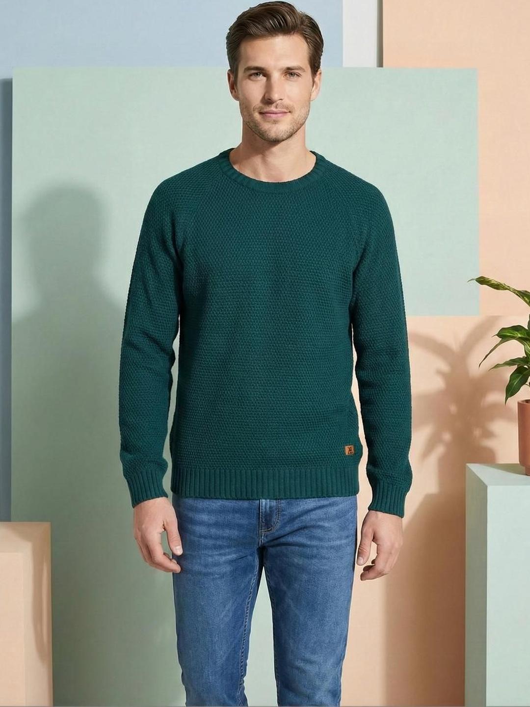 Buy AYL Men Pullover - Sweaters for Men 38940037 | Myntra