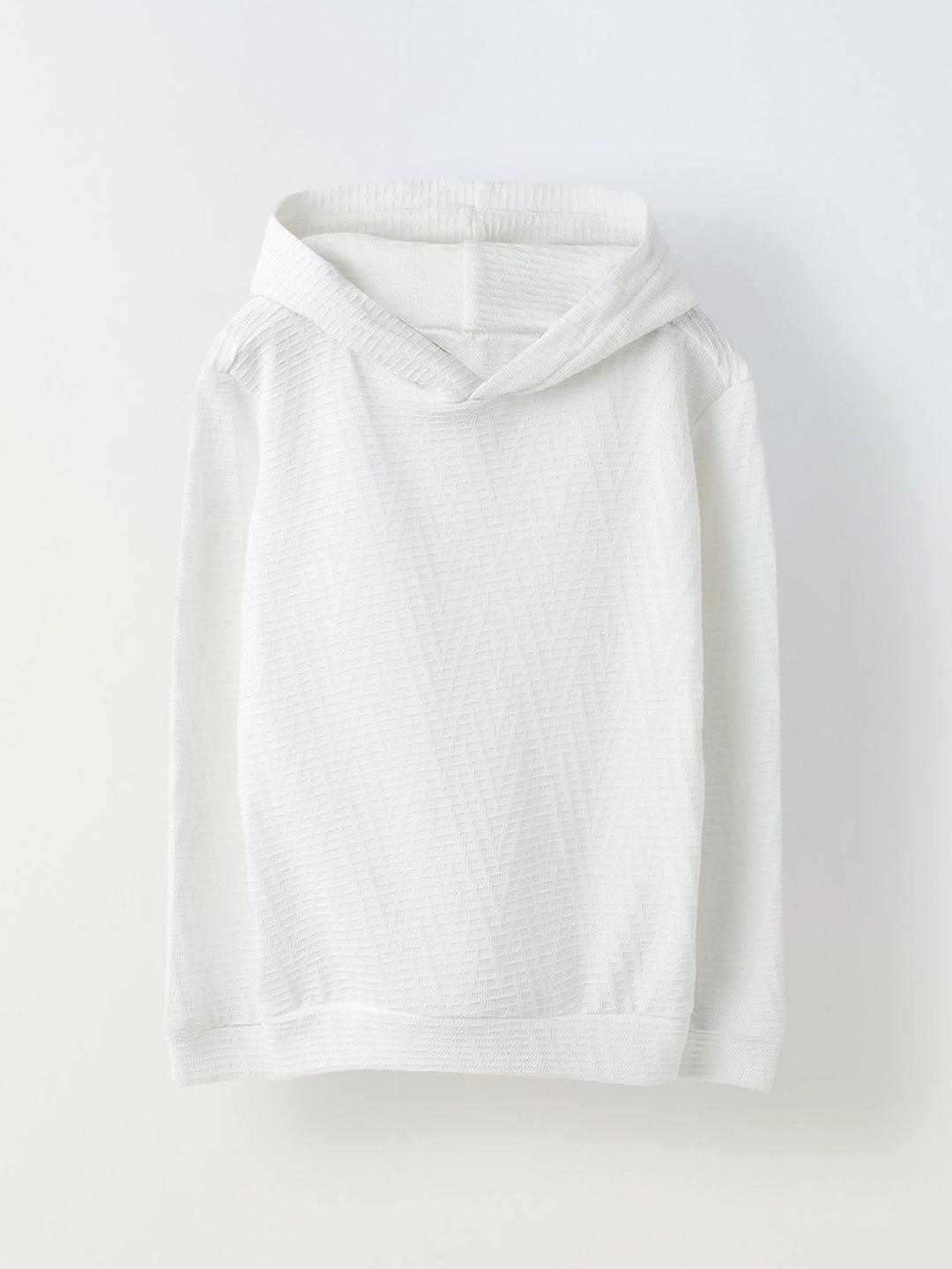 Buy SPUNKIES Boys Cotton Hooded Sweatshirt - Sweatshirts for Boys ...