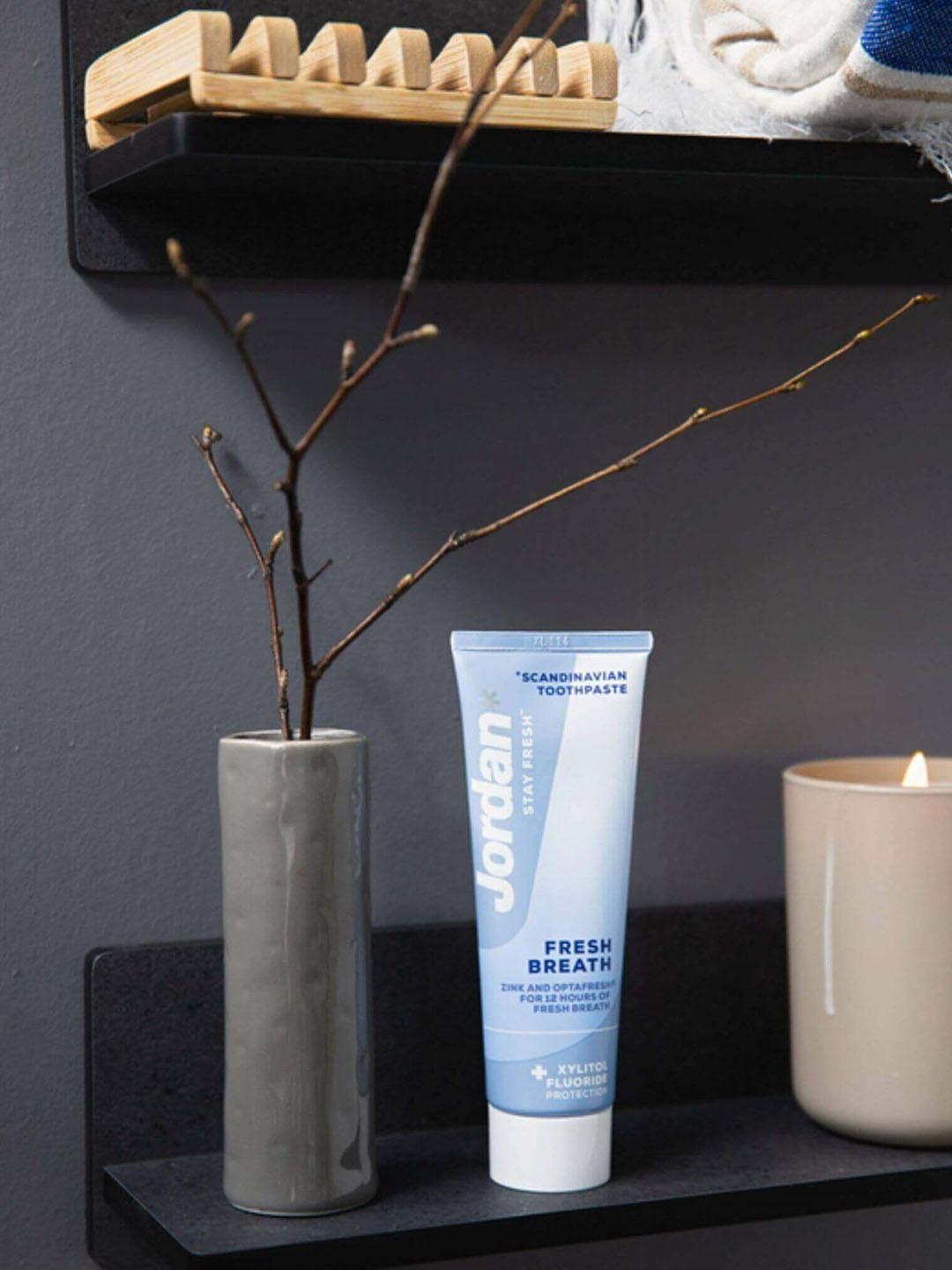 Buy Jordan Adult Toothpaste Fresh Breath Toothpaste 75 Ml - Toothpaste ...