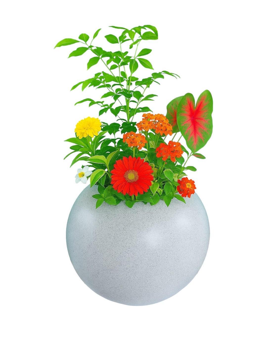 Buy NEER BALL SHAPE PLANTER - Planters for Unisex 35927105 | Myntra