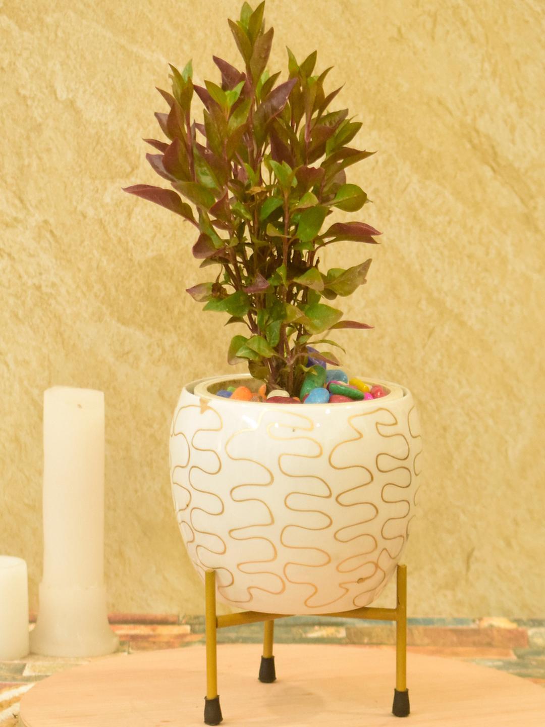 Buy SONE KEY CHIDIYA White Printed Handmade Meenakari Planter ...