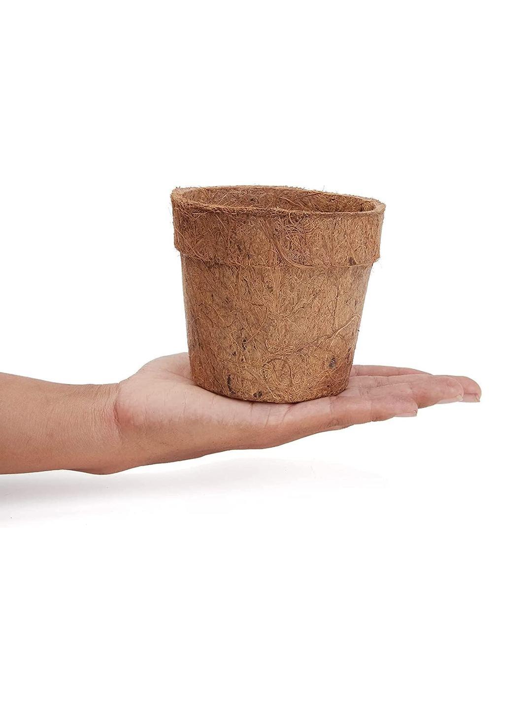 Buy Coco Coir Pots Planters For Plants - Planters for Unisex 34711288 ...