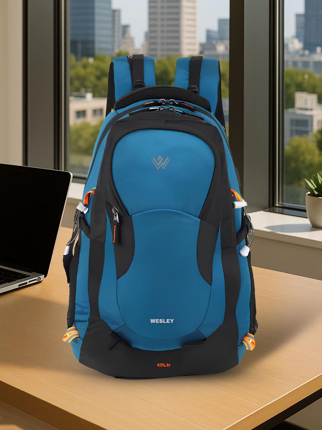 Buy Wesley Unisex Padded Backpack - Backpacks for Unisex 34855110 | Myntra