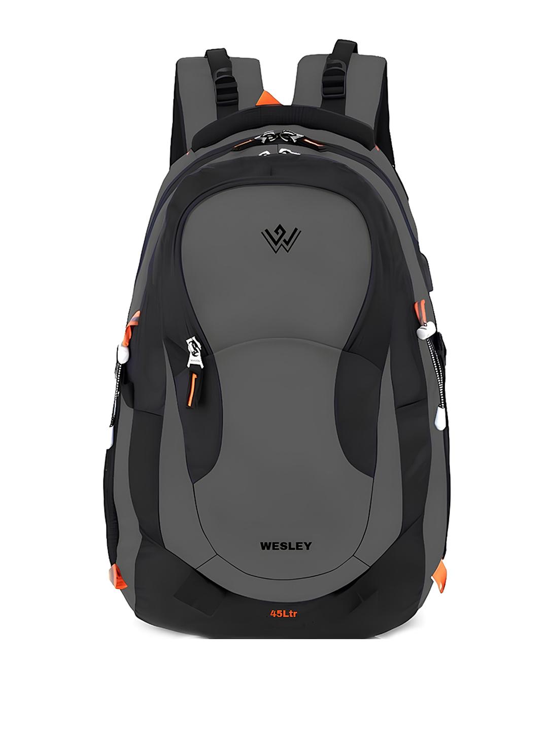 Buy Wesley Unisex Padded Backpack - Backpacks for Unisex 34855108 | Myntra