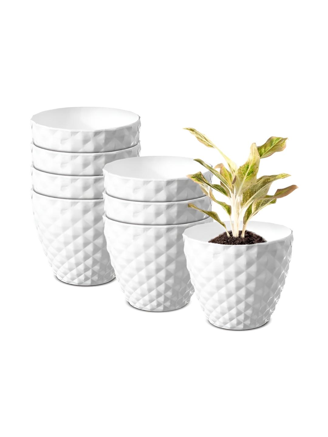 Buy GARDEN'S NEED 8 Pcs White Textured Planters - Planters for Unisex ...