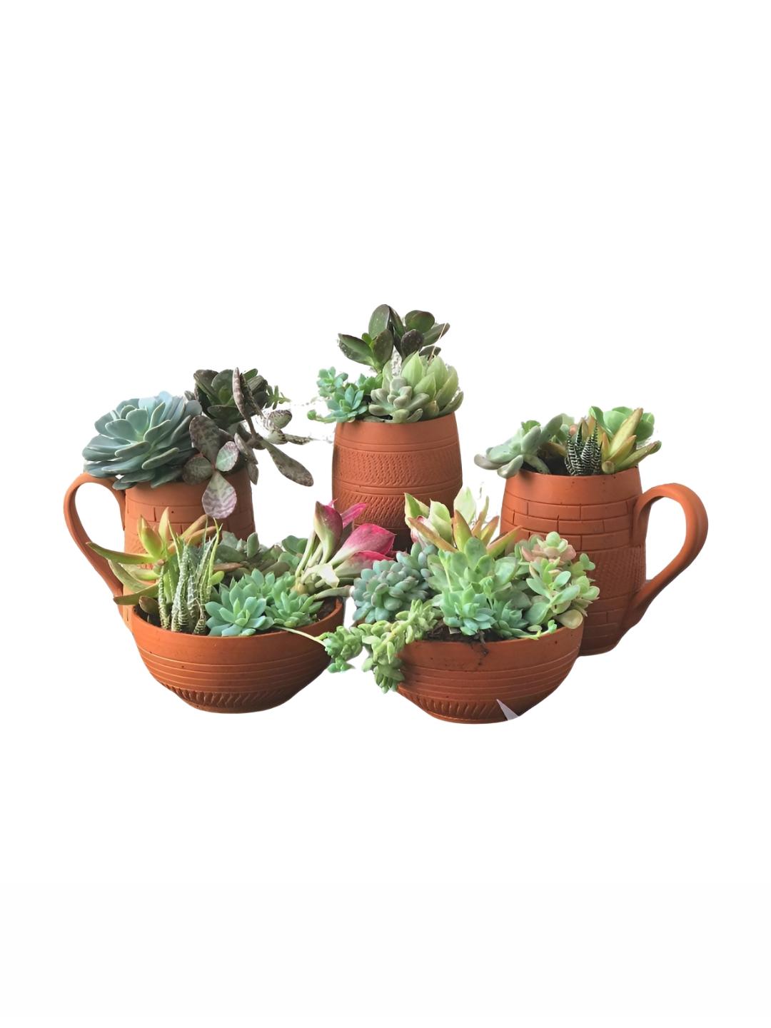 Buy The Handicraftian Brown 5 Piece Coffee Mug Planter - Planters for ...