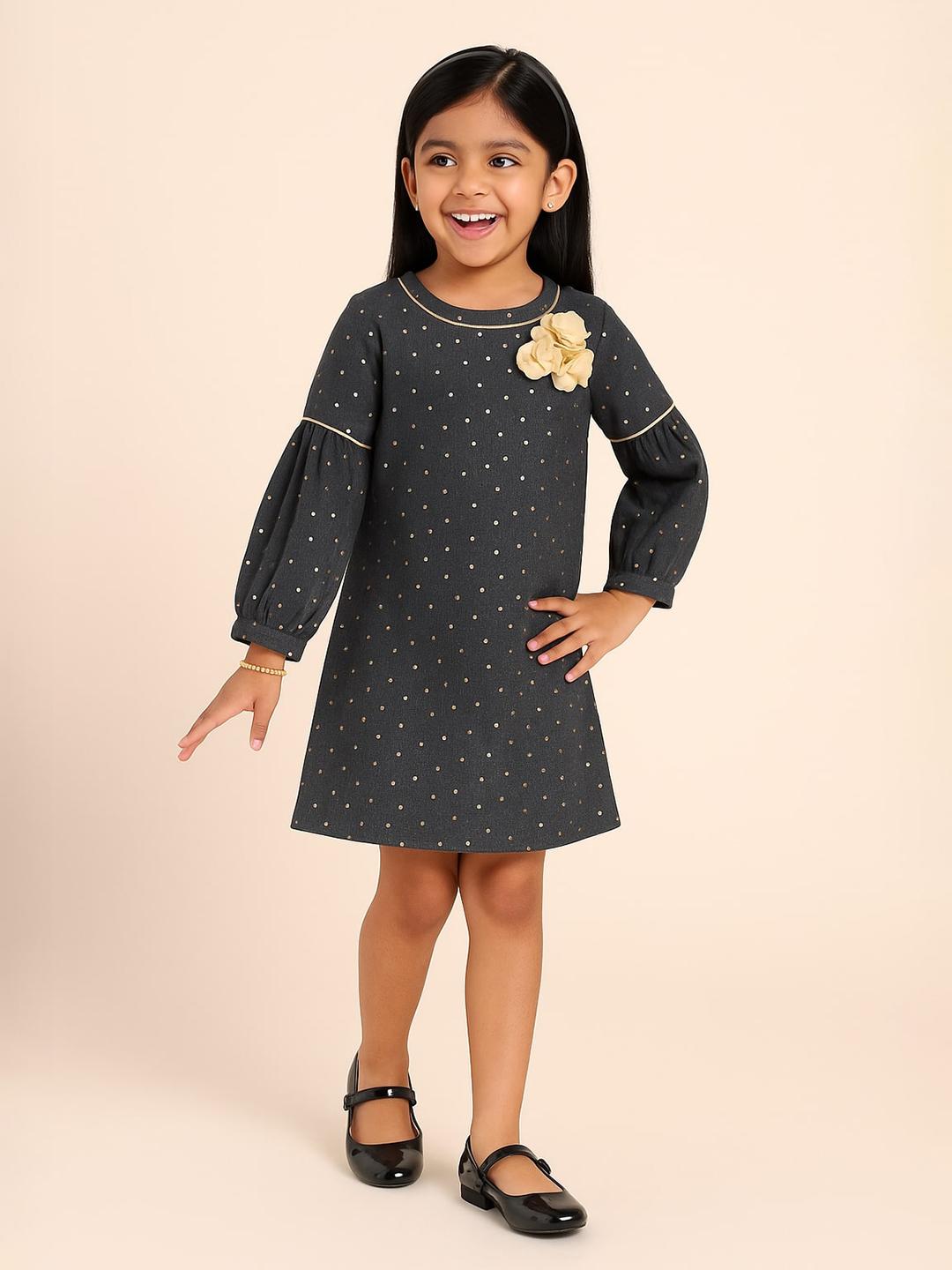 Buy Miyo Girls Grey Solid A Line Dress - Dresses for Girls 11321640 ...