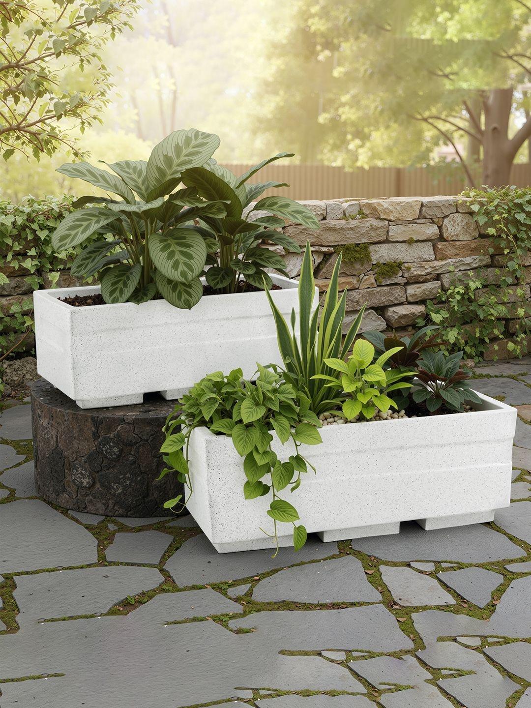Buy Myntra Elegant Homes 2 Pcs White Textured German Polymer Planters ...