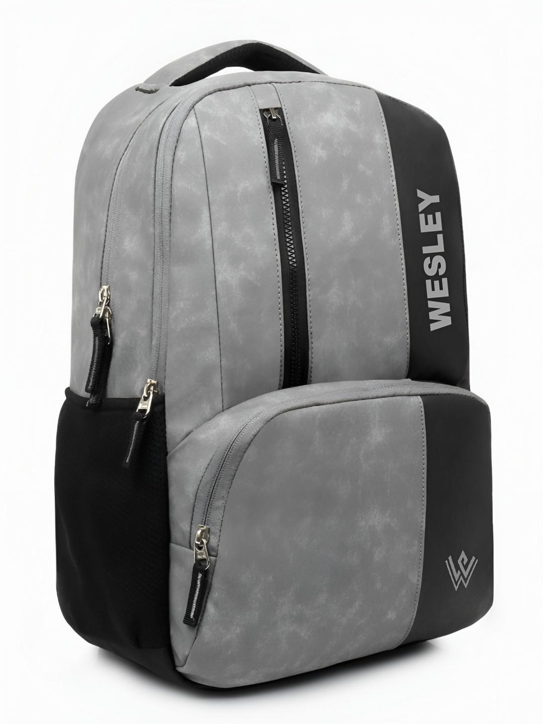Buy Wesley Unisex Colourblocked Backpack - Backpacks for Unisex ...