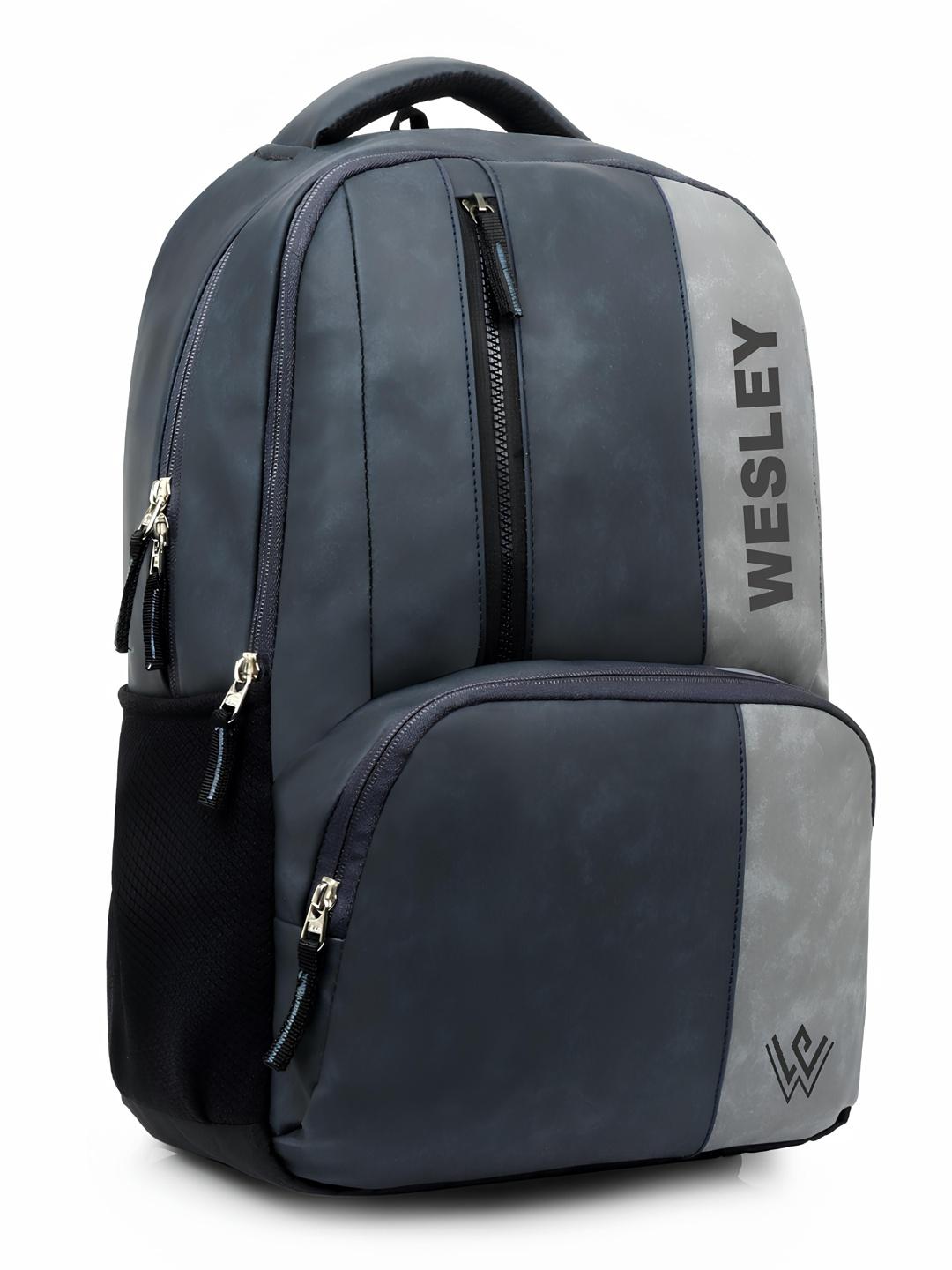 Buy Wesley Unisex Colourblocked Backpack - Backpacks for Unisex ...