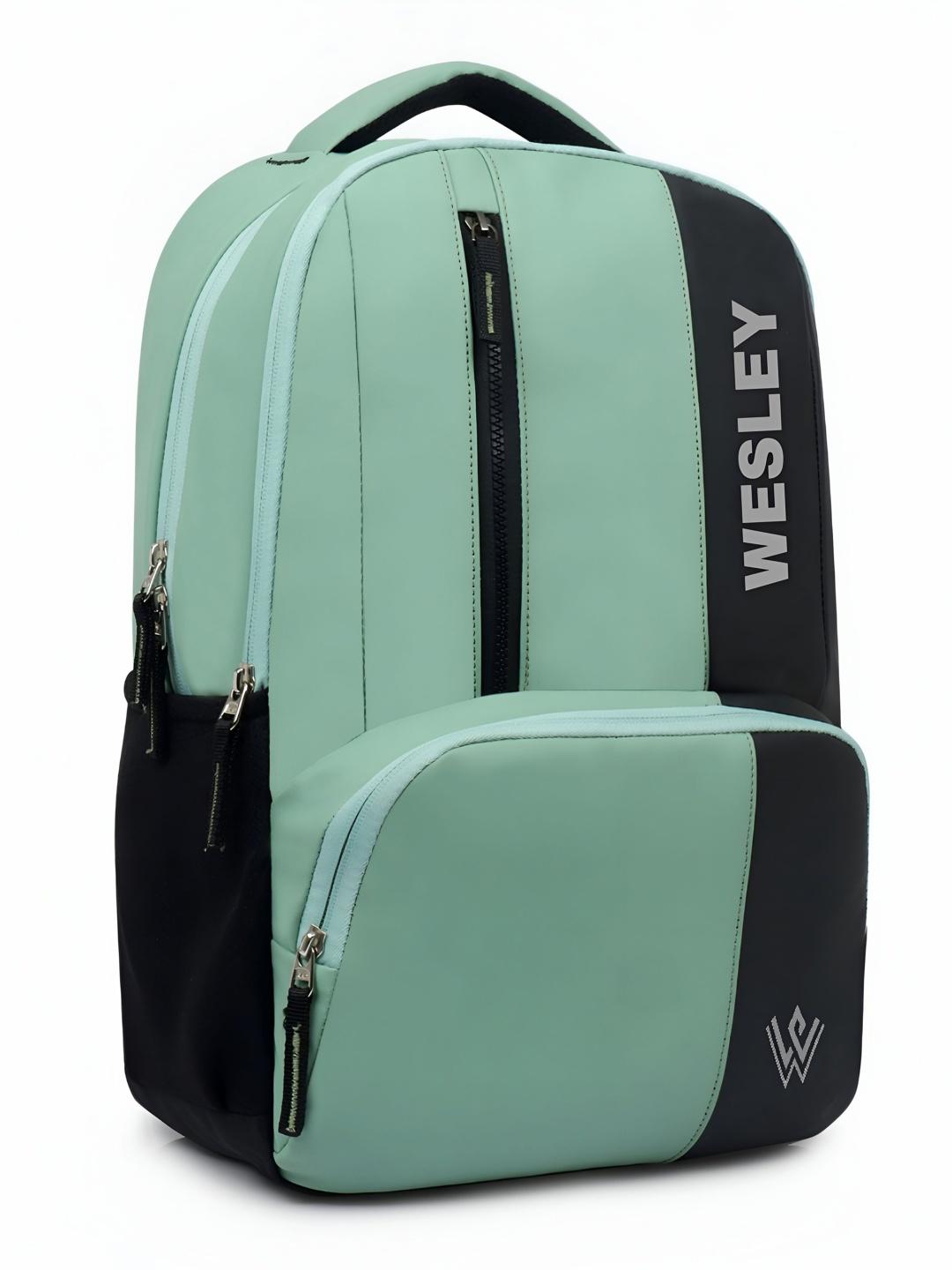 Buy Wesley Unisex Colourblocked Backpack - Backpacks for Unisex ...