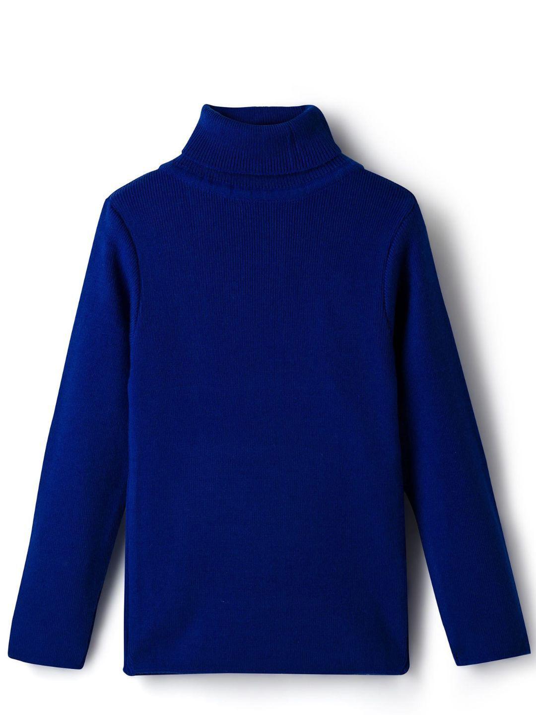 Buy RVK Kids Ribbed Full Sleeves Skivvy Pullover Sweater - Sweaters for ...
