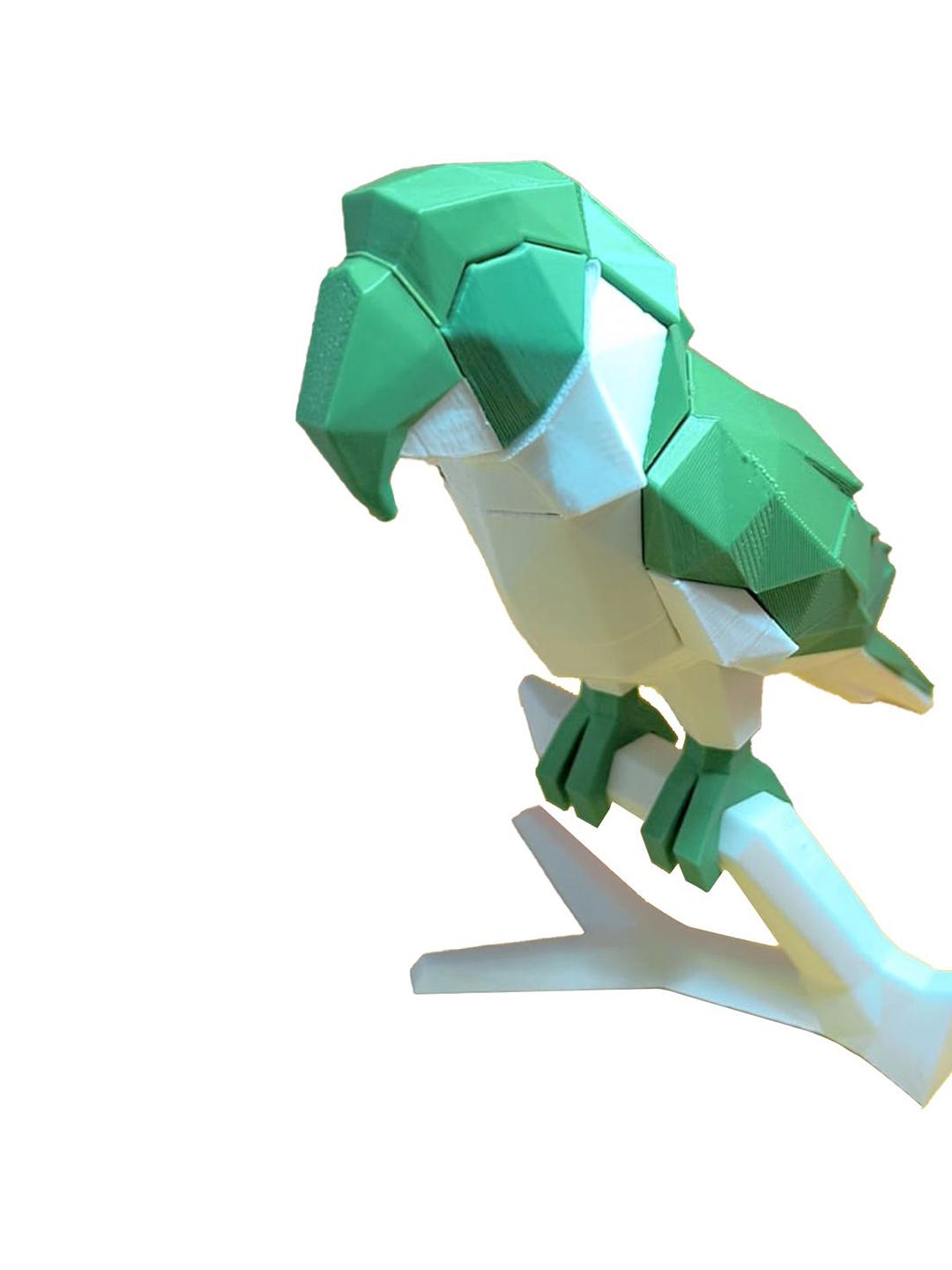 Buy Ankuram Robo 3d Magnetic Parrot Puzzles Activity Toys And Games ...