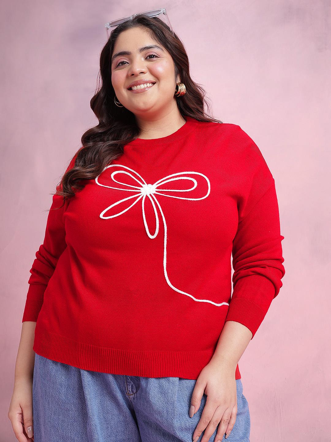 Buy DressBerry Curve Conversational Embroidered Pullover - Sweaters for ...