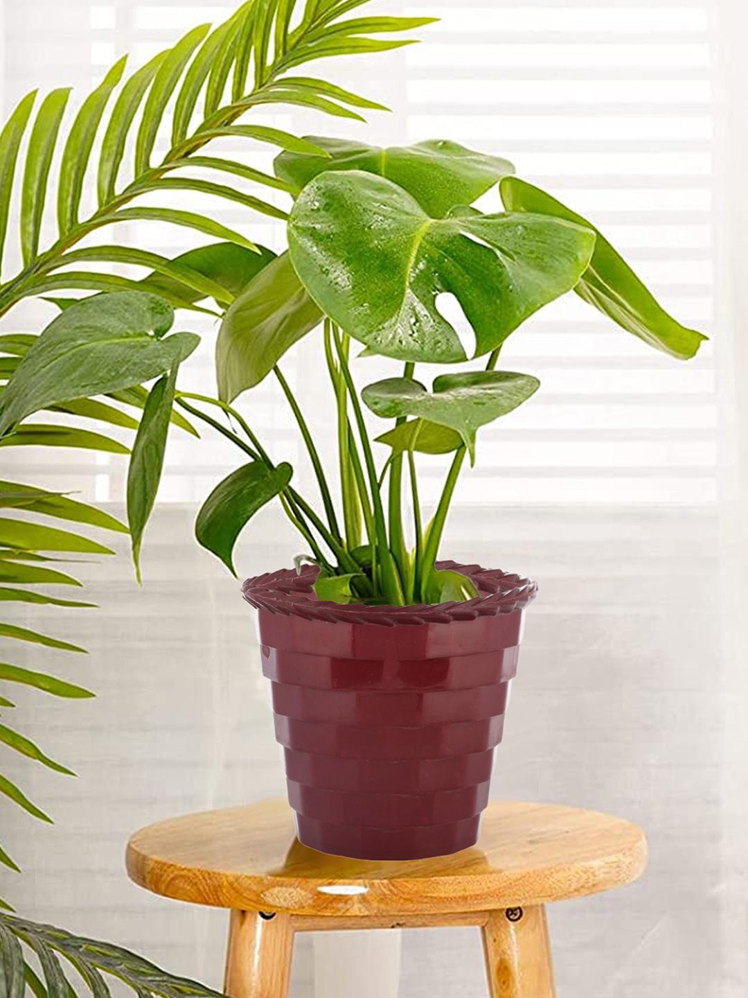 Buy Kuber Industries Maroon 3 Pieces Brick Patterned Planters ...