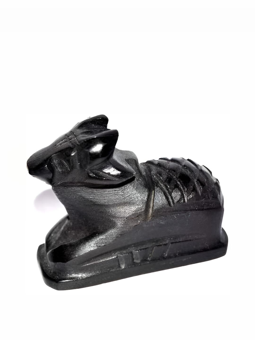 Buy Navyaksh Nandi Pindi Black Marble Glossy Prayer Room Small ...