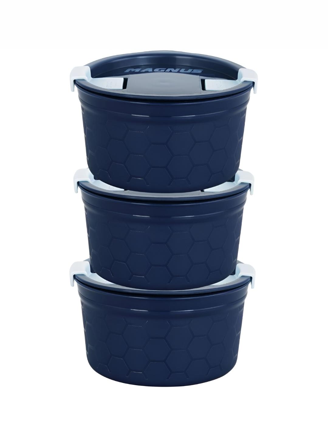 Buy Magnus Blue Stainless Steel Leak Resistant 3 Piece Flip Top ...