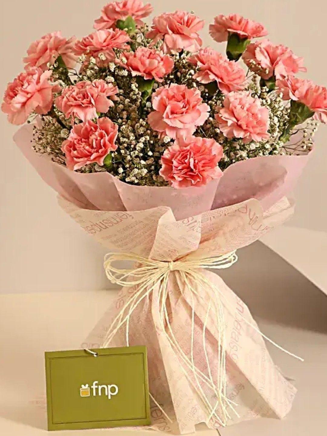 Buy Fnp Pink & Green 15Pieces Carnation Flower Bouquet - Fresh Flowers ...