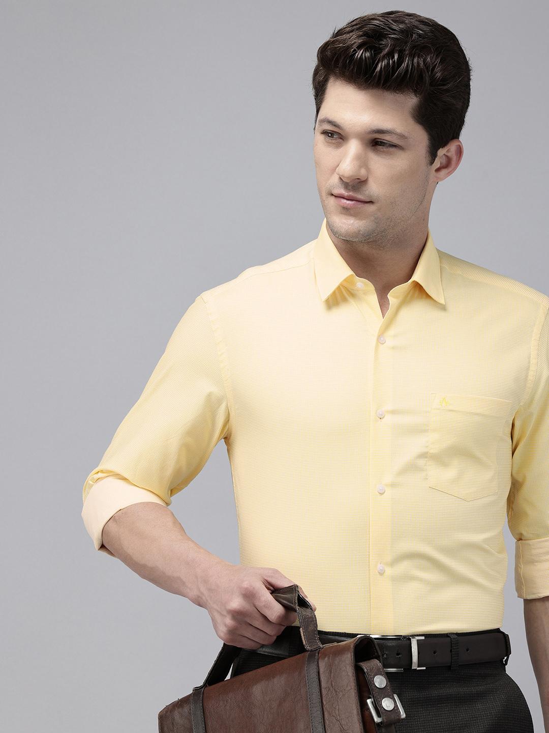 Buy Arrow Manhattan Slim Fit Micro Checks Pure Cotton Formal Shirt ...