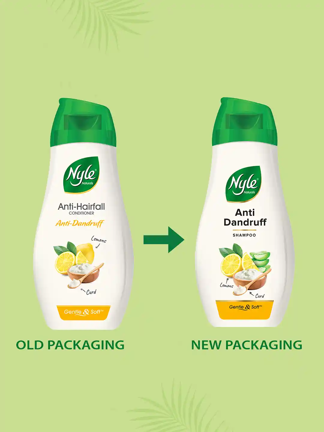 Dandruff Treatment With Lemon Buy Datura & Lemon Anti Dandruff Shampoo