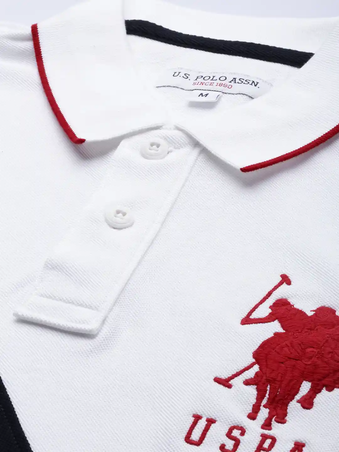 polo logo size
