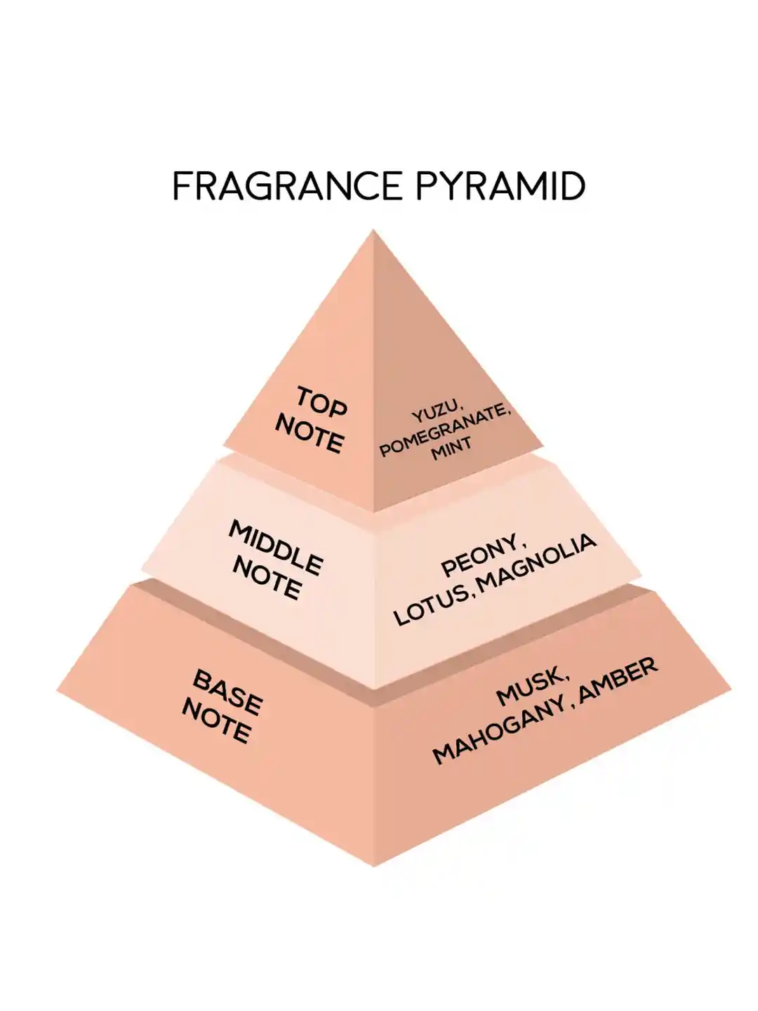 base notes perfume list