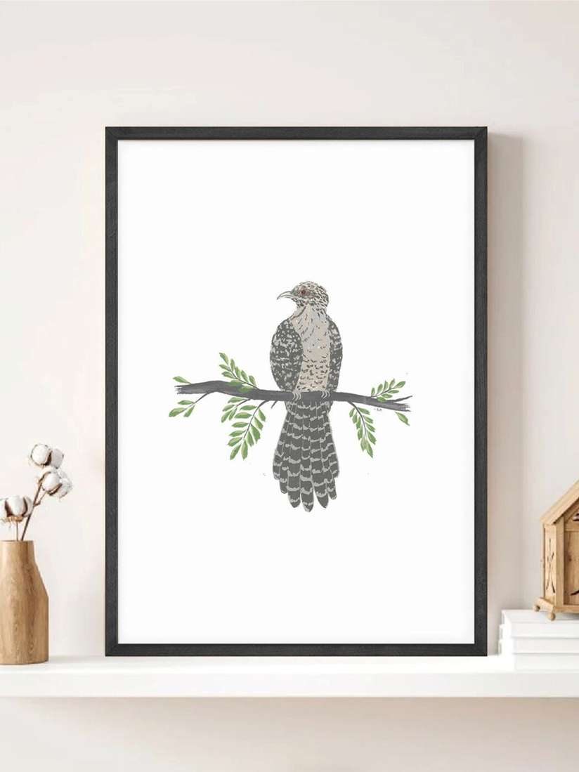 Indian Cuckoo Bird Drawing