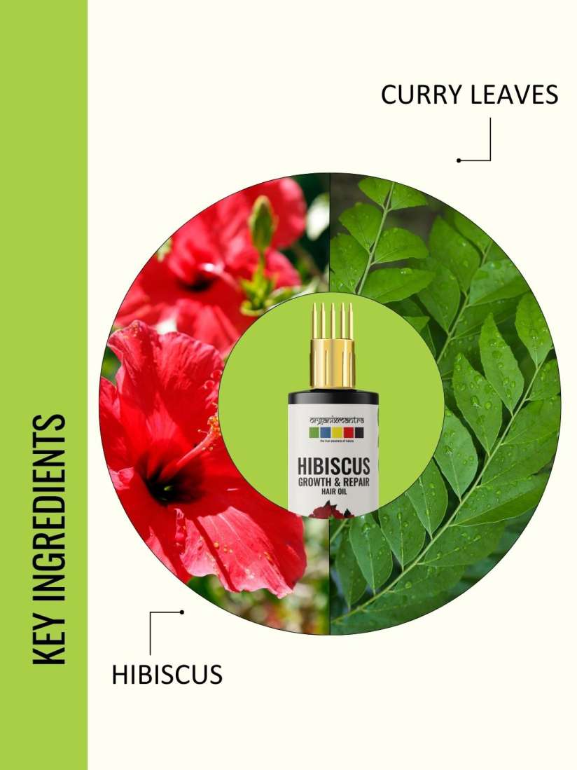 Buy Organix Mantra Hibiscus Growth Repair Hair Oil with Curry Leaves 120 ml Hair Oil for Unisex 30184321 Myntra